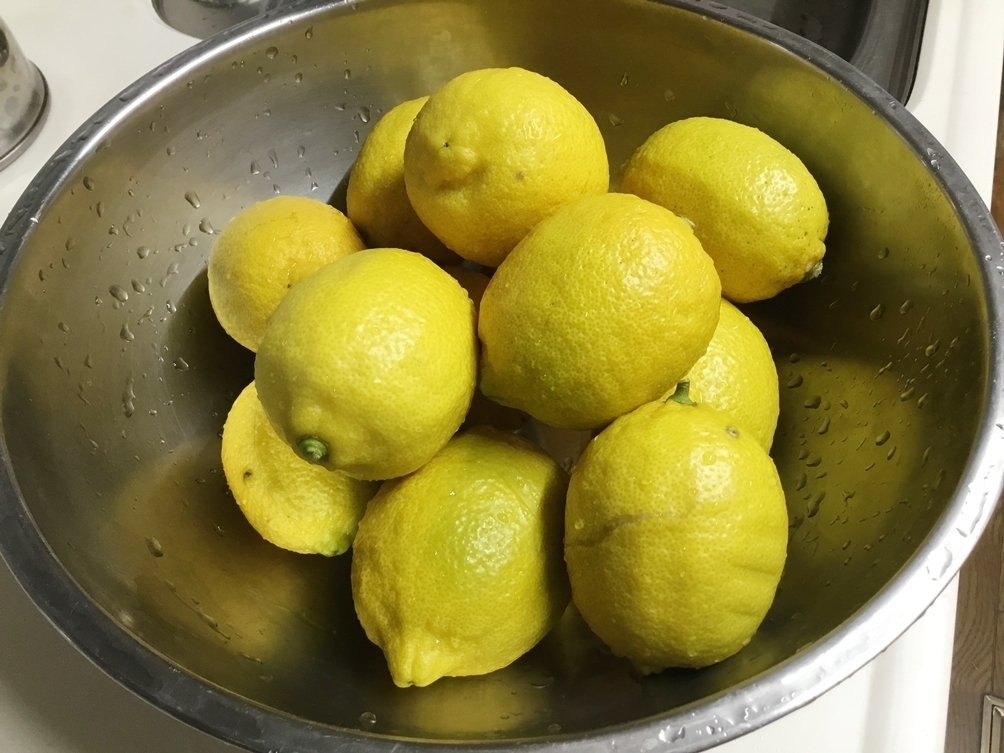 最後のレモン果汁搾り: 今を楽しむ悠々Life Ⅲ